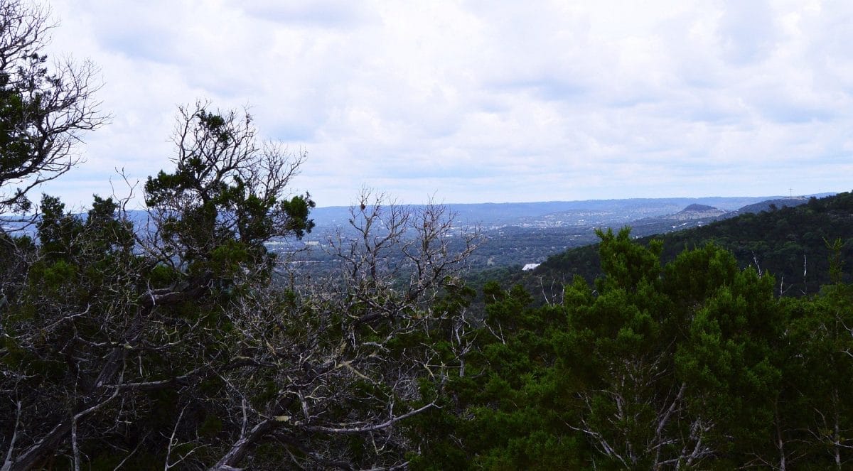 Timber Ridge Winery - Texas Wine Lover®