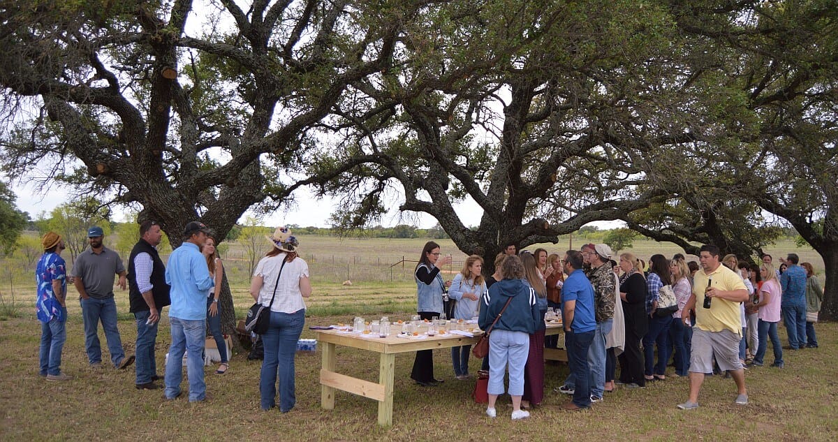 Tasting in Mason: Mason County Wine Tour - Texas Wine Lover®