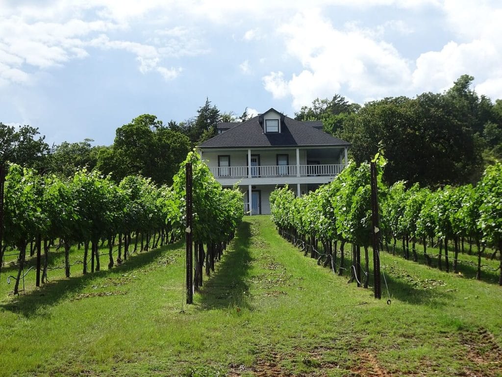 4R Ranch Vineyards and Winery - Texas Wine Lover®