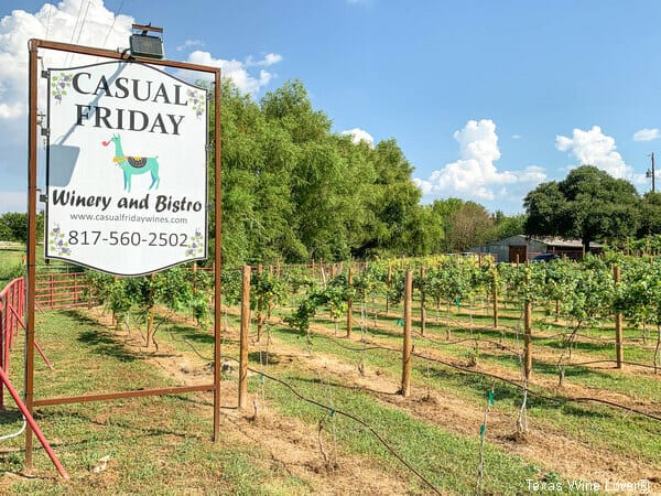 Casual Friday Wines - Texas Wine Lover®