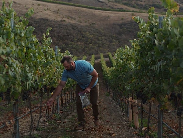 Rarig Ross Winemaker Profile - Texas Wine Lover®